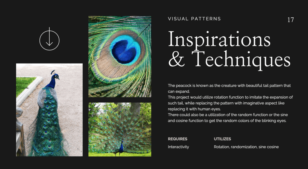 Project A. Generative Visuals : The Blinking Peacock – Christy’s Documentation Blog