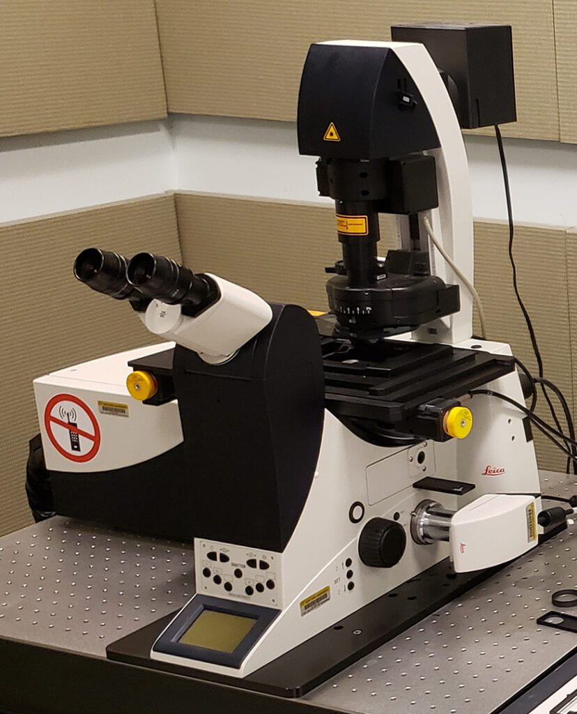 Leica Confocal Microscope – Shared Instrumentation Facility