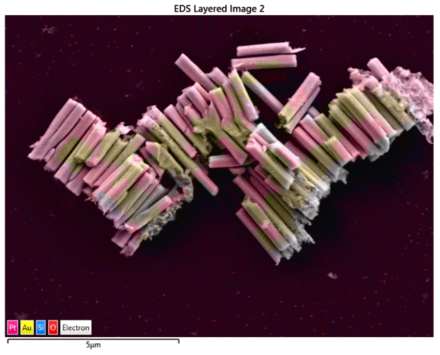 Merlin SEM Gets an Upgraded EDS Detector – Shared Instrumentation Facility