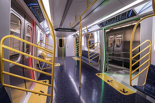 Katie Lynn Pulles Prethesis