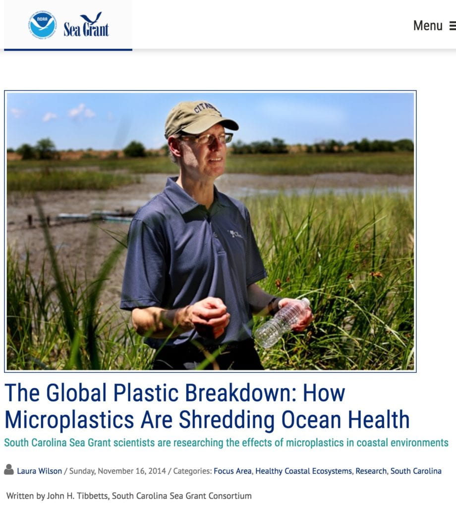 Microplastic and nanoplastic ingestion by marine animals