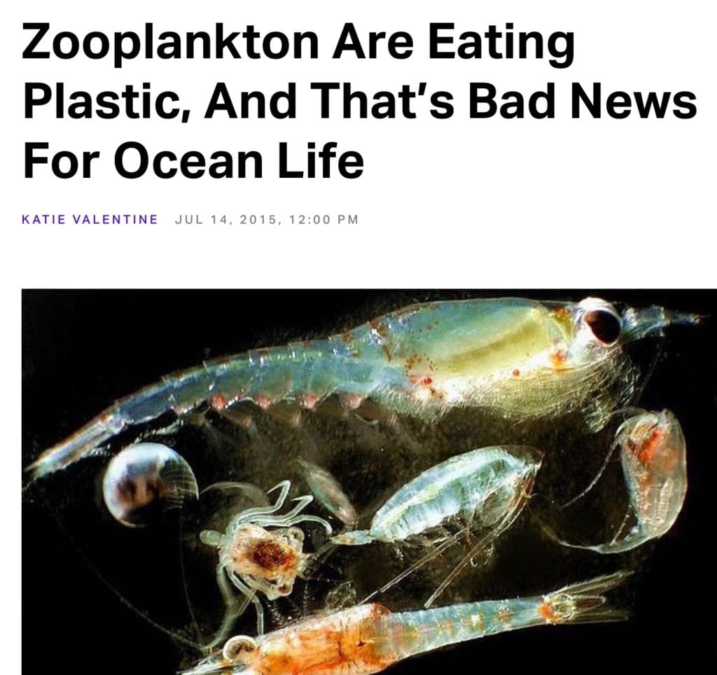 Microplastic and nanoplastic ingestion by marine animals