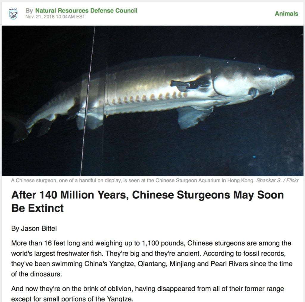 Extinction