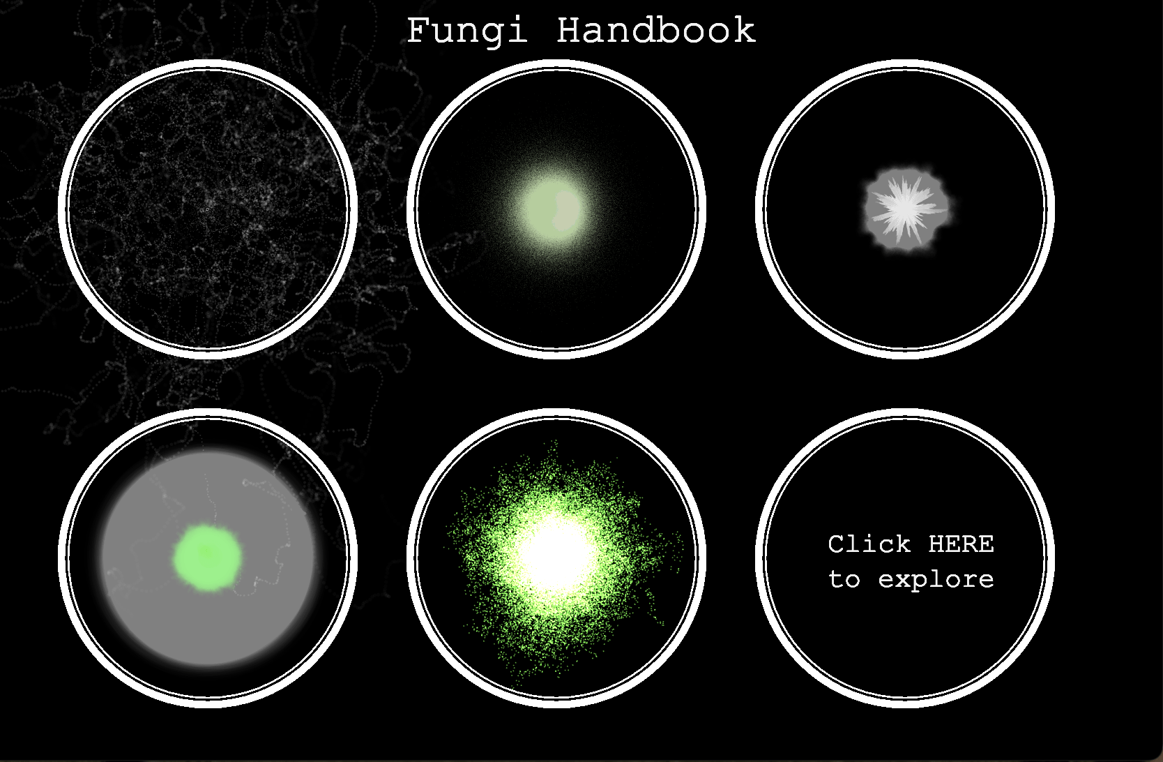 NOC Project A – Magic Fungi – Claire's Documentation Blog